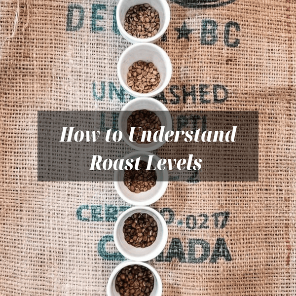 How to Understand Coffee Roast Levels | Smile Tiger Coffee Roasters